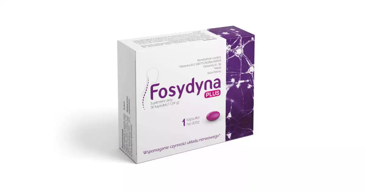 Fosydyna wspomaga układ nerwowy i metabolizm energetyczny | Tramco24